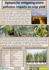 Fact Sheet - Options for mitigating ozone pollution impacts on crop ...