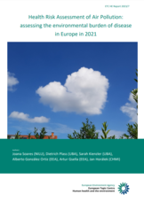 Health Risk Assessment of Air Pollution: Assessing the environmental ...