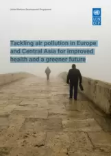 Tackling air pollution in Europe and Central Asia for improved health ...
