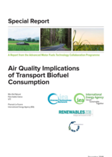 Air Quality Implications of Transport Biofuel Consumption | Climate ...