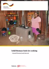 Solid biomass fuels for cooking - beyond firewood and charcoal ...