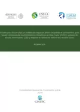 Study to develop a pilot business model in artisan brick kilns, for ...