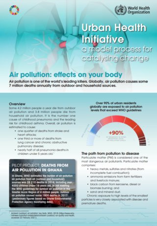 Air pollution: Effects on your body | Climate & Clean Air Coalition